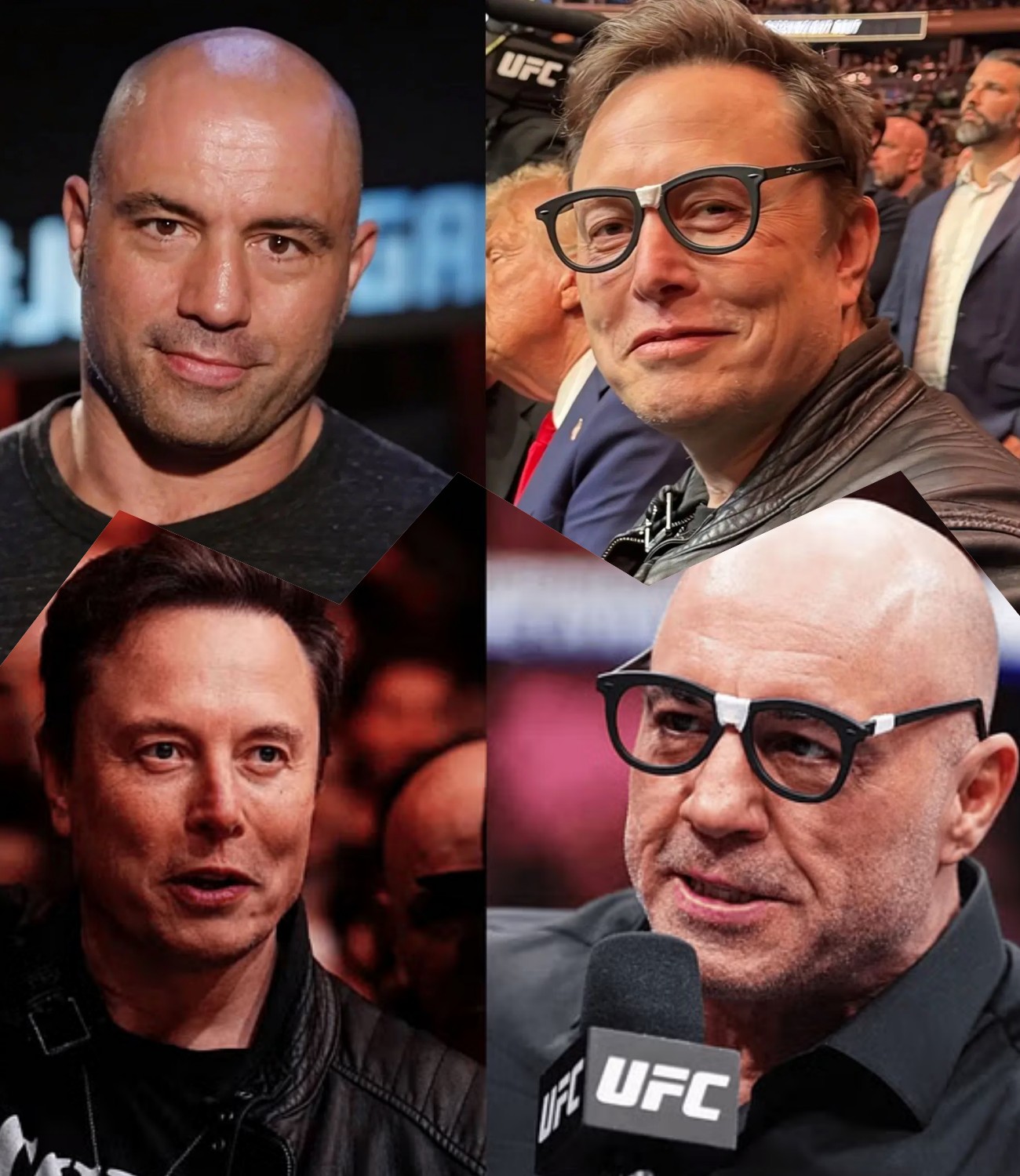 Joe Rogan Takes Over Rachel Maddow’s Spot? Shocking MSNBC Shakeup ...