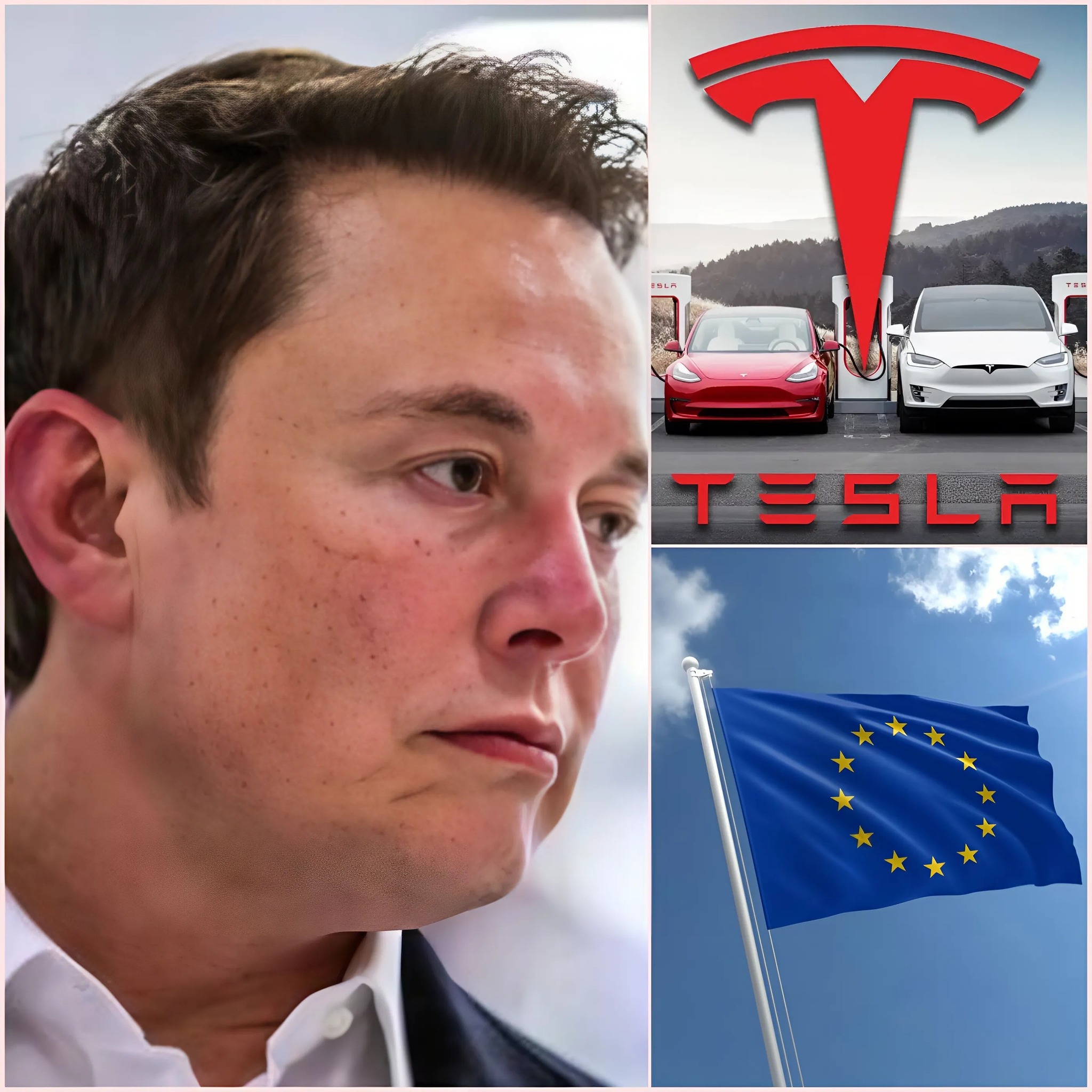 Tesla Crisis: Boycotts Surge as Shares Plummet Amid Musk’s ...